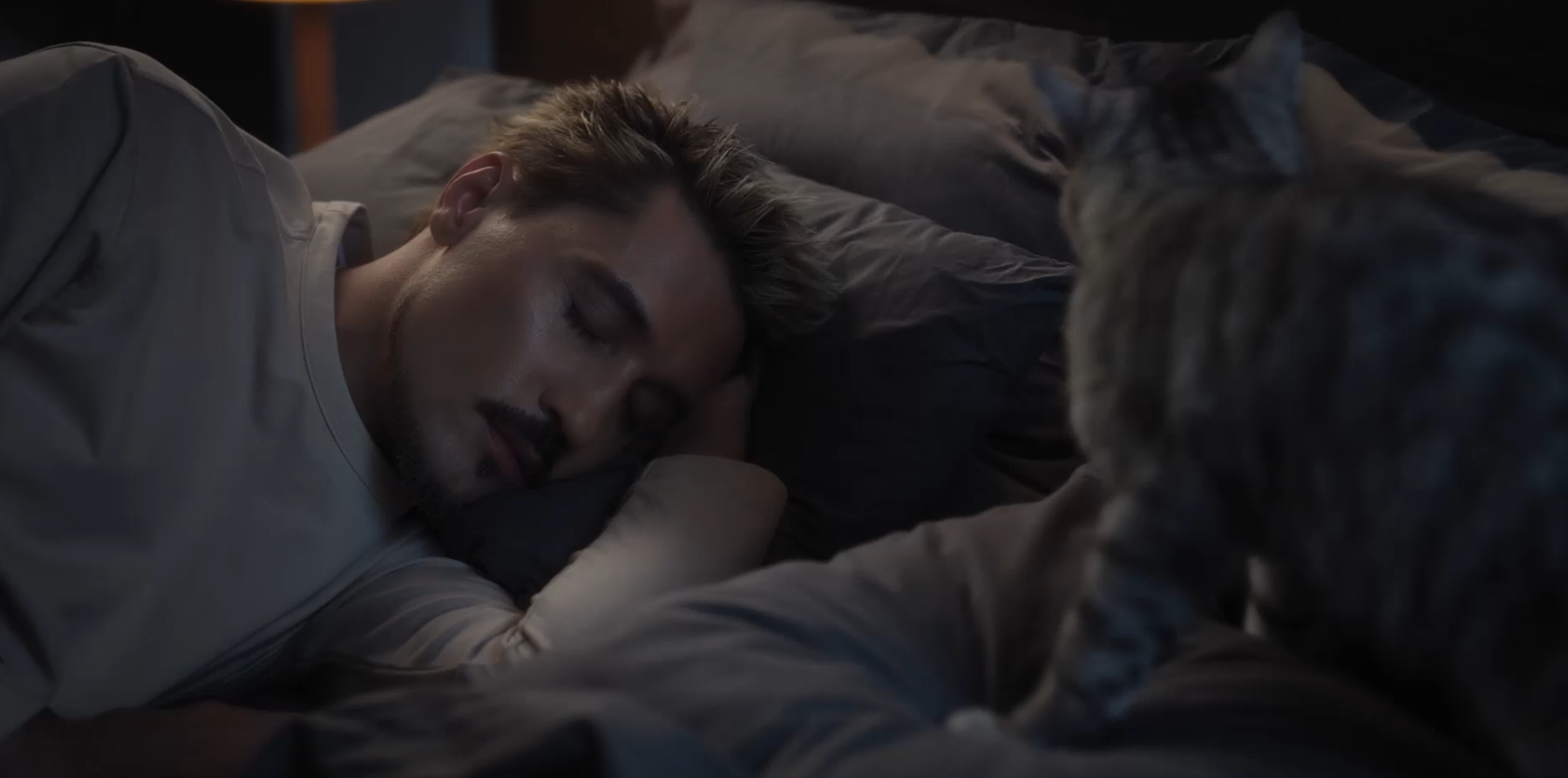 MARS «Кешбэк за заботу!» — BBDO Moscow